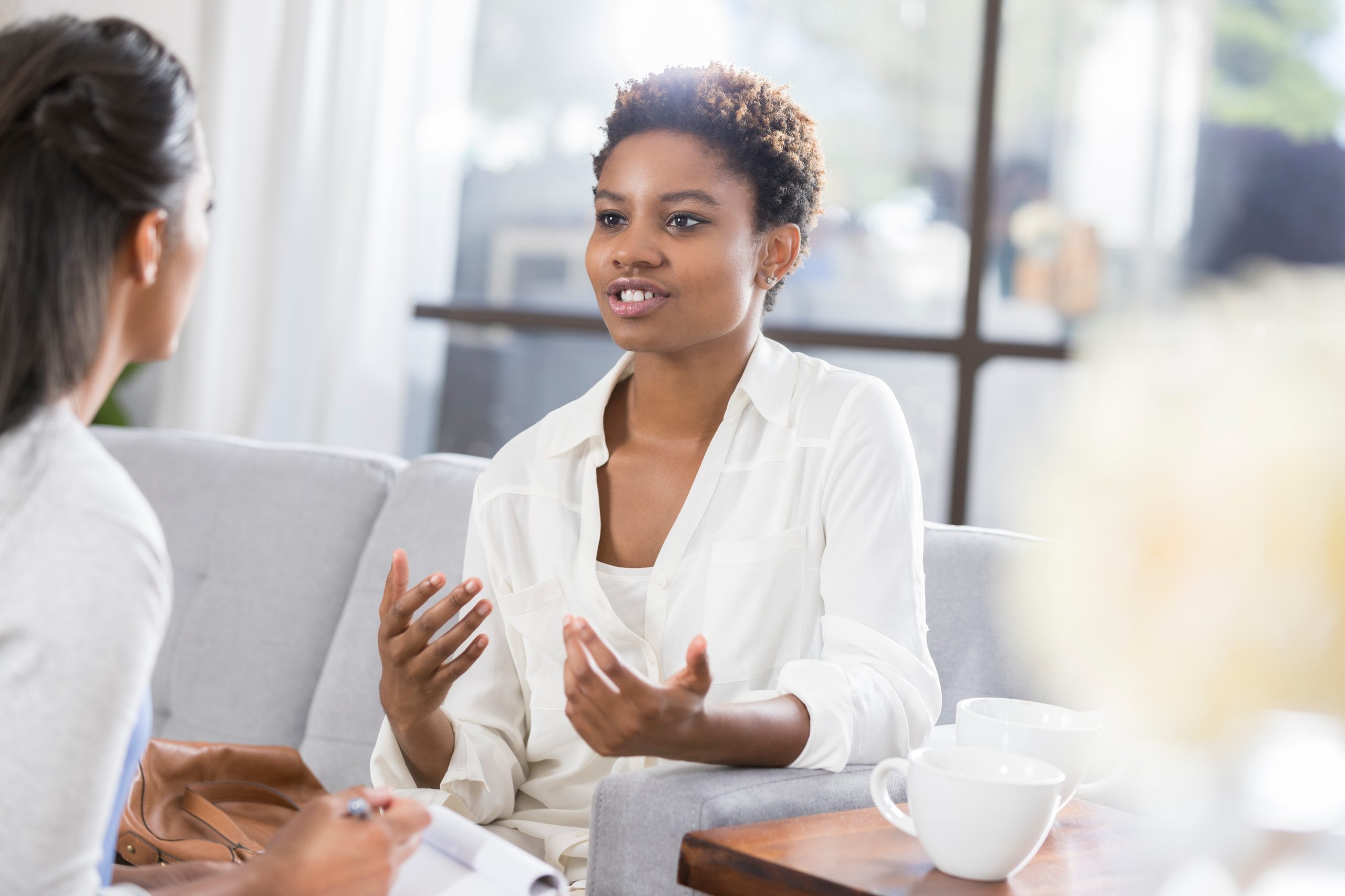 Language Barriers: A Due Process Issue-Specific to People with Limited ...