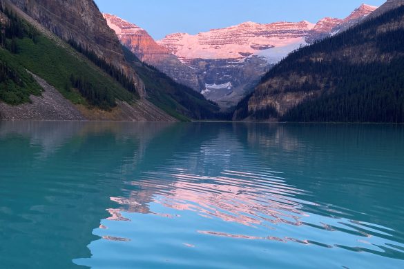 Jaindl: A Family History of Entrepreneurship | Network Magazine